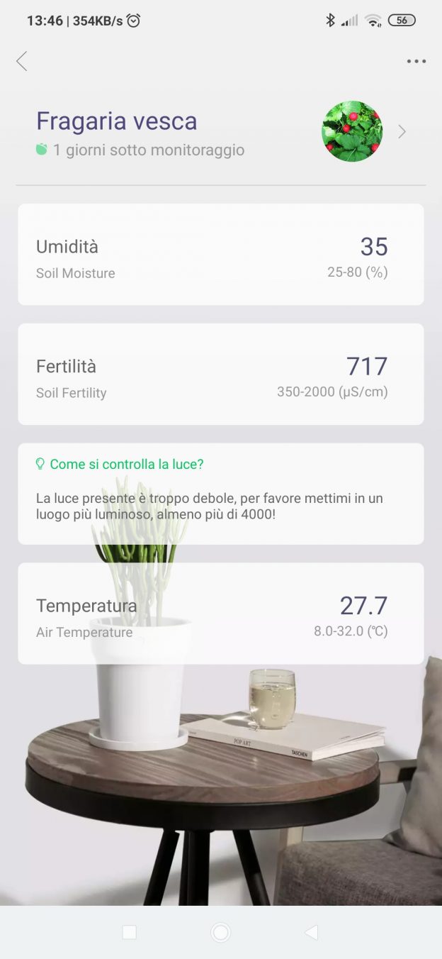 Xiaomi Mi Flora Smart Plant Sensor Monitor Flower Care: guida completa